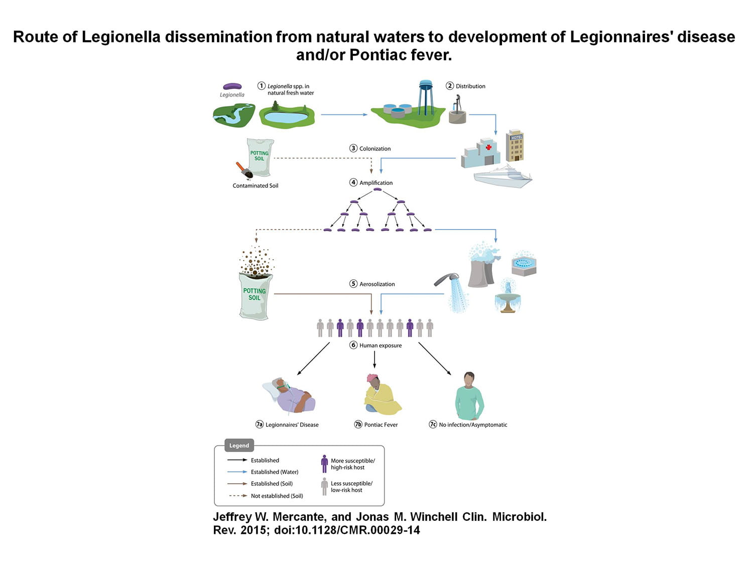 Tips on Legionella control – Ecoprocess Engineering Ltd.